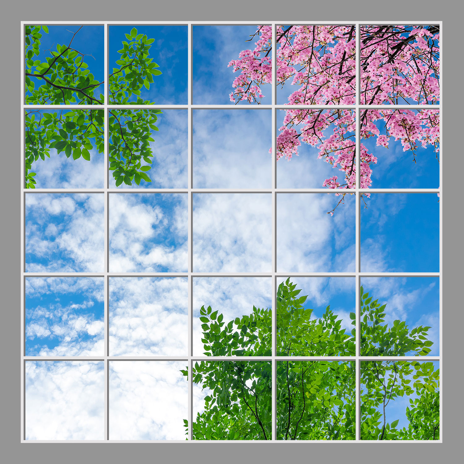 Sky ceiling, 5x5 panels - Prosky Panels®
